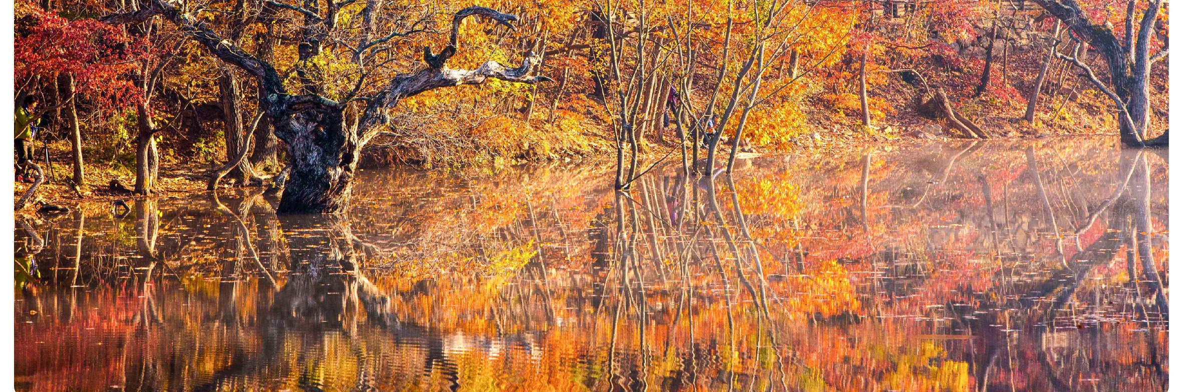 Mount Juwangsan Autumn Day Tour from Busan - Klook